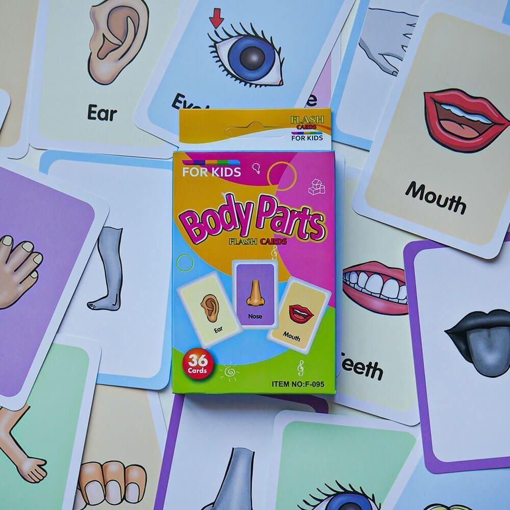 Výukové kartičky - části těla | Darkyznetu.cz