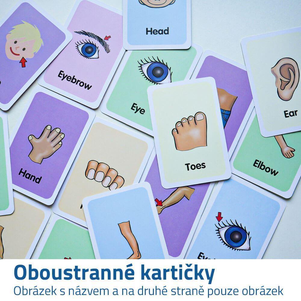 Výukové kartičky - části těla | Darkyznetu.cz