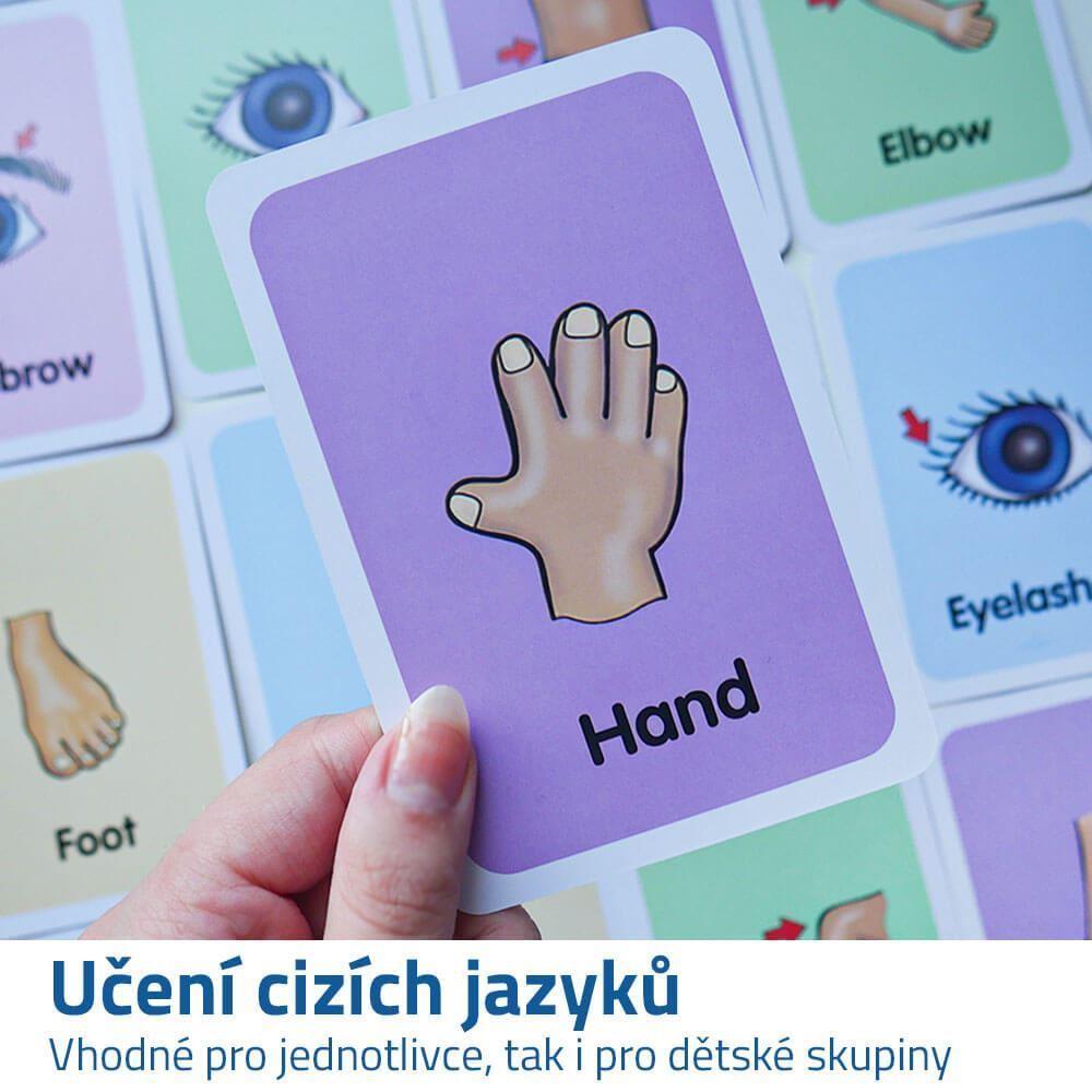 Výukové kartičky - části těla | Darkyznetu.cz